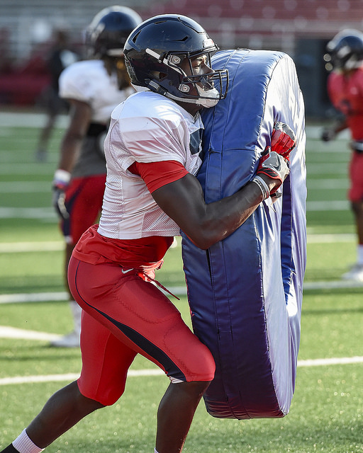 Photo Gallery – Flames Fan Fest | A Sea of Red