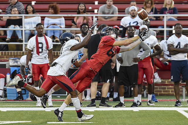 Photo Gallery – Flames Fan Fest | A Sea of Red