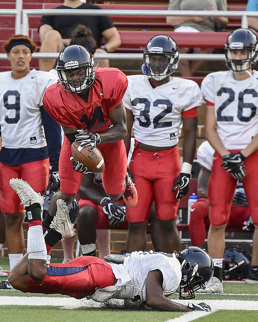 Photo Gallery – Flames Fan Fest | A Sea of Red