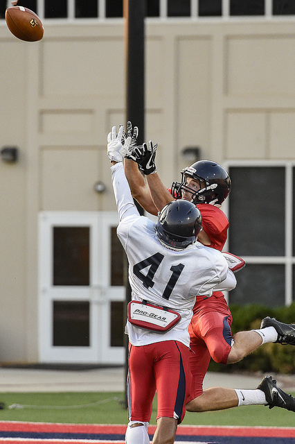 Photo Gallery – Flames Fan Fest | A Sea of Red